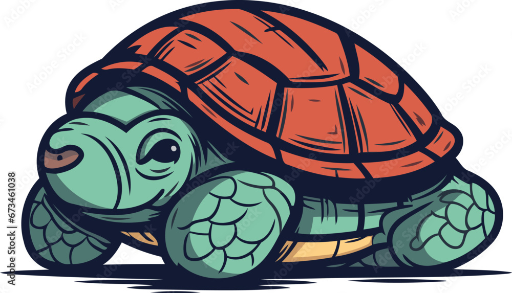 Turtle cartoon vector illustration. Isolated on white background ...