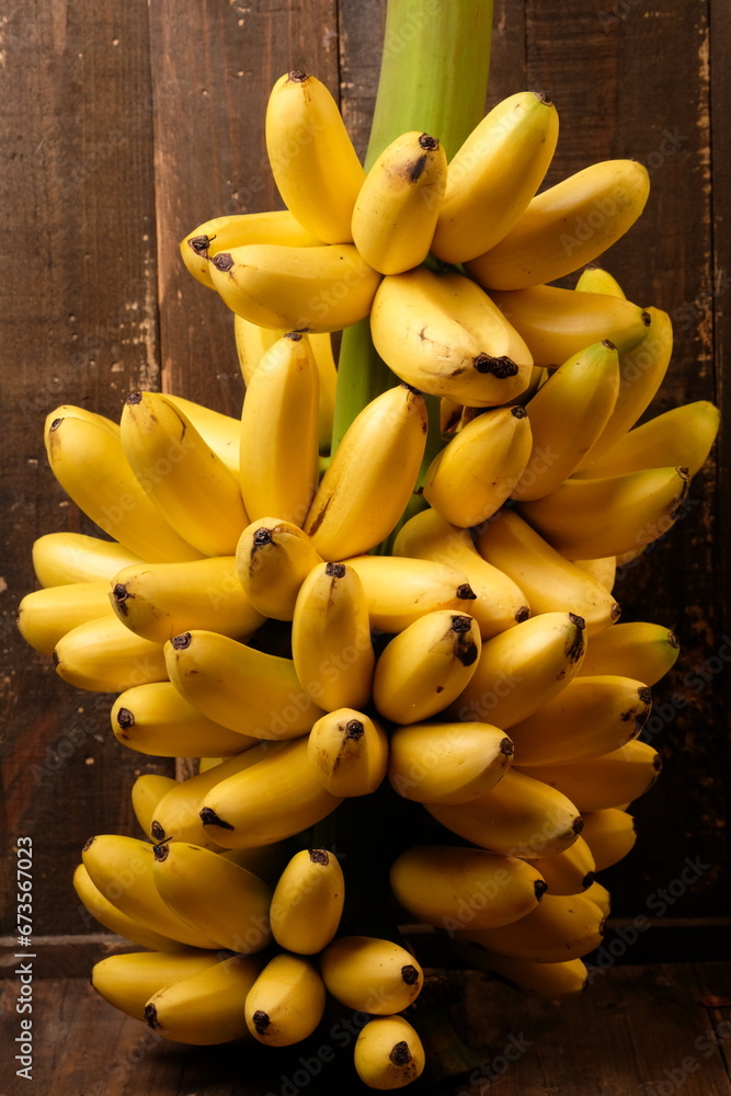 Lady Finger bananas are diploid cultivars of Musa acuminata. They are ...