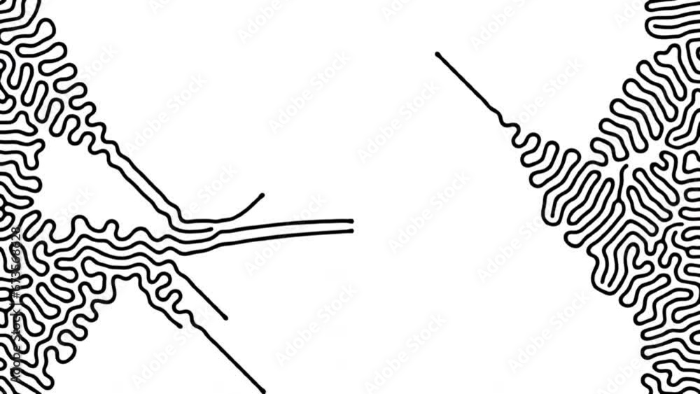 Reaction diffusion organic growing pattern. Cell division science ...