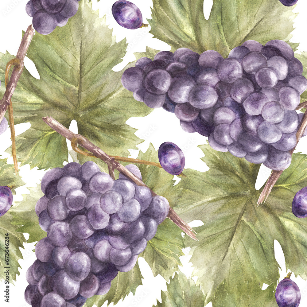 Watercolor painted seamless pattern with grapevine, bunches, grape ...