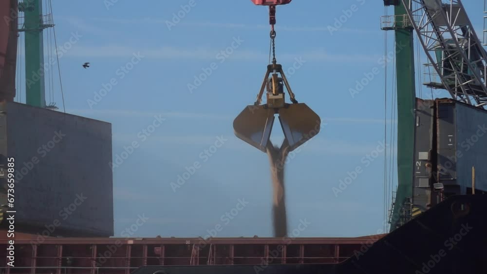 Loading dry cargo ship of wheat by cranes in port. Loading into holds of sea cargo vessel Stock ...