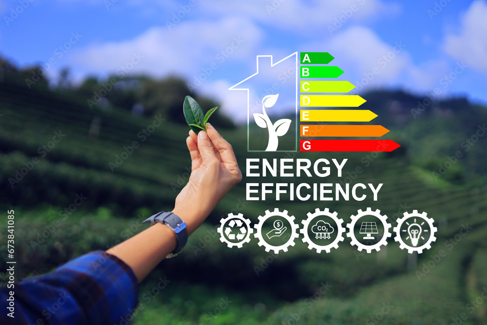 Home energy saving label and hand holding green leaf to encourage ...
