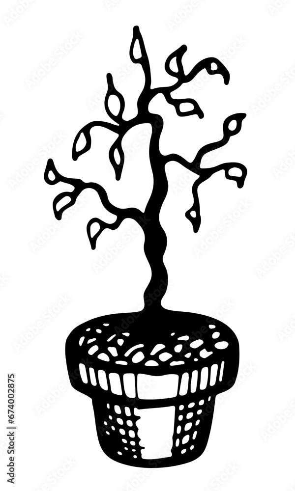 Potted tree, plant. Line art hand drawn illustration. Black vector ...