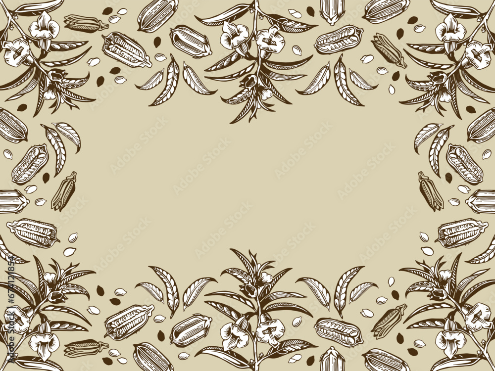 Vector horizontal plant frame with sesame leaves, seeds, seed pods ...