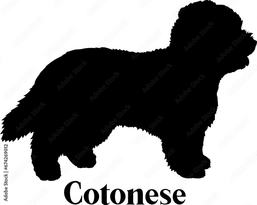 Cotonese. Dog silhouette dog breeds logo dog monogram logo dog face ...