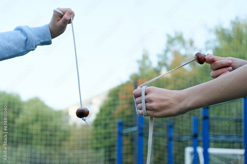 Conkers game. Traditional children's game in Great Britain and Ireland ...