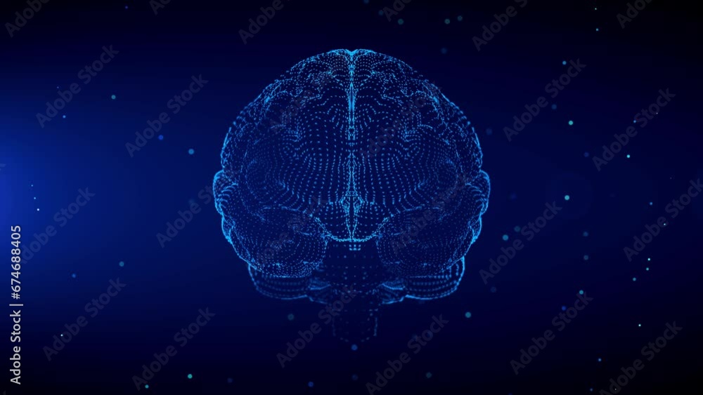 Blue Shine Human Brain Anatomy Wireframe Hologram Scanning Effects With ...