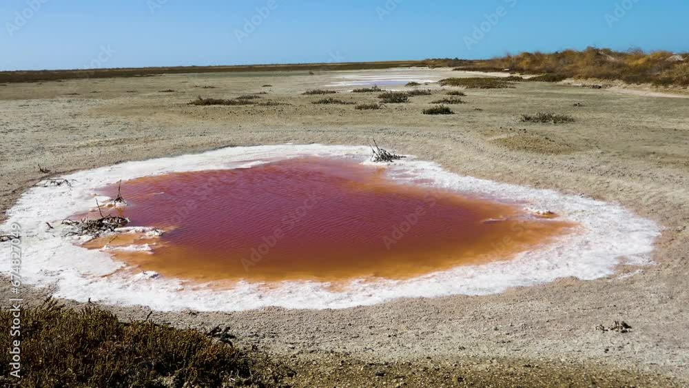 Subsidence funnels on salt marsh are filled with lakes of diverse ...
