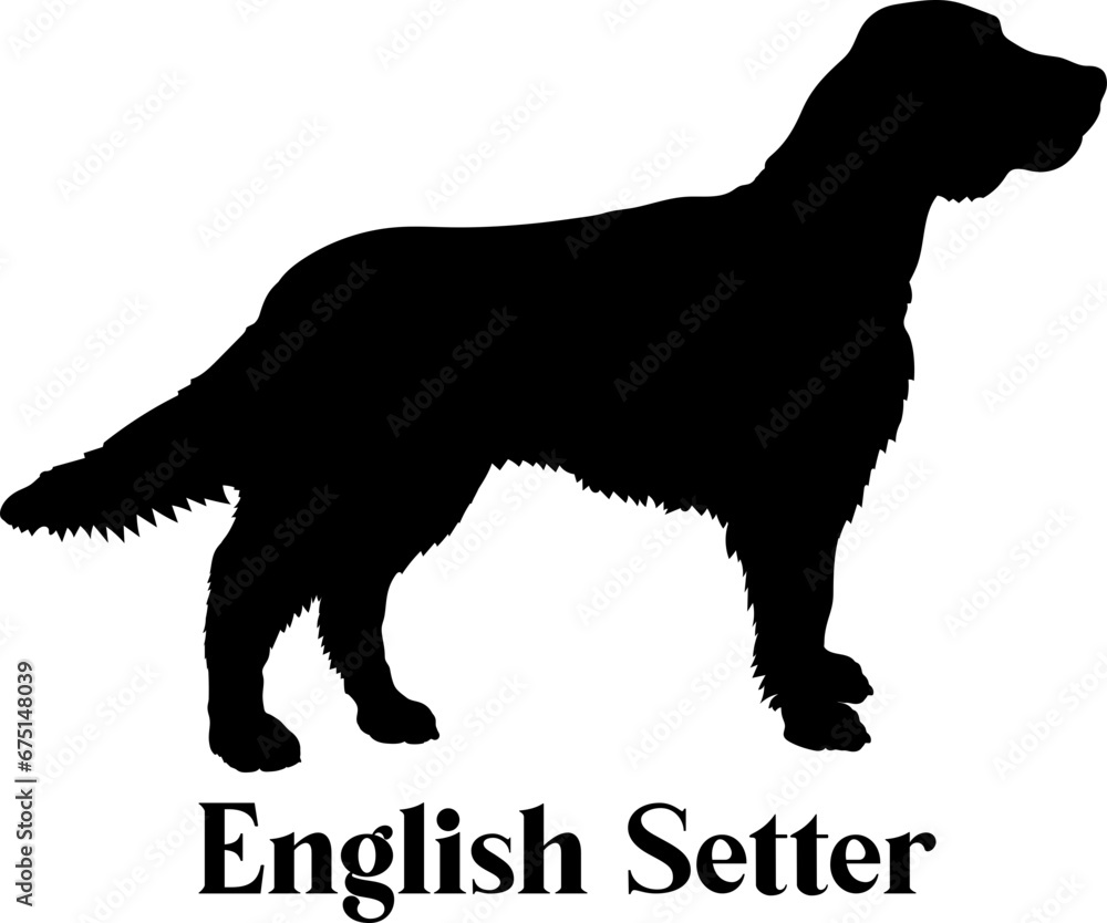 English Setter. Dog silhouette dog breeds logo dog monogram logo dog ...