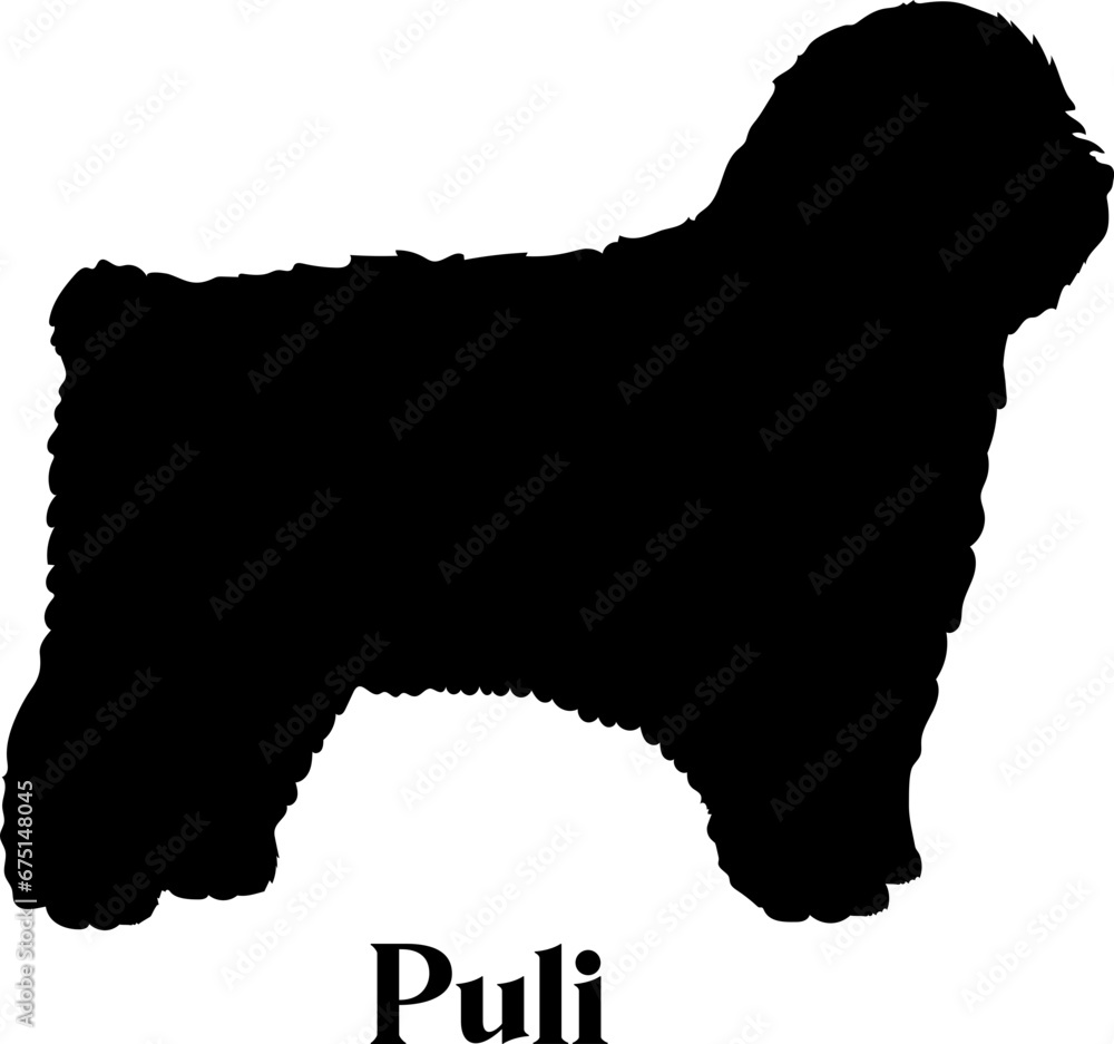 Puli Dog silhouette dog breeds logo dog monogram logo dog face vector ...