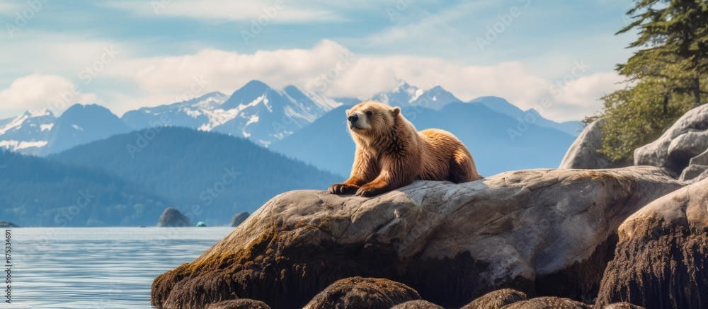 In the summertime the breathtaking seascape of Alaska s Pacific Ocean ...