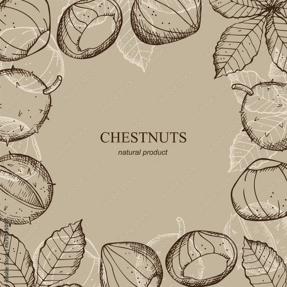 Chestnut card design with hand drawn vector illustration with leaves ...