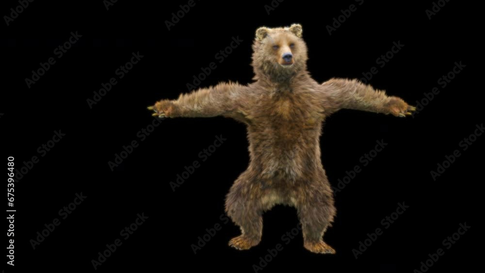 Bear Dancing CG fur 3d rendering animal realistic composition 3d ...