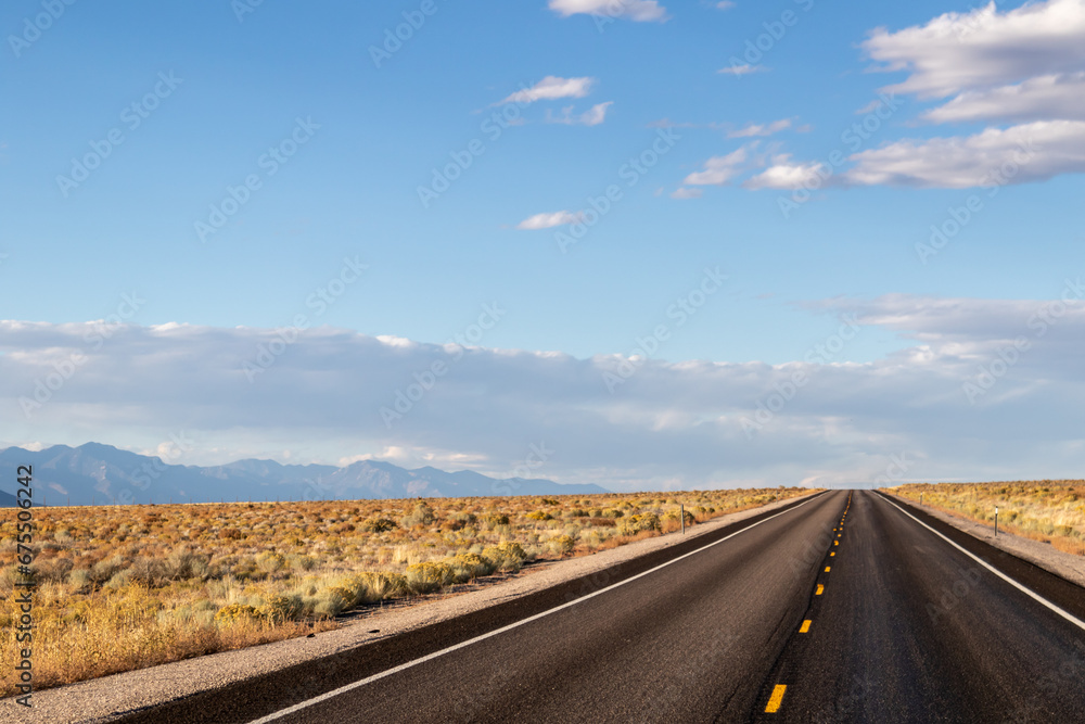 endless road in the desert, route 93, image shows a endless asphalt ...