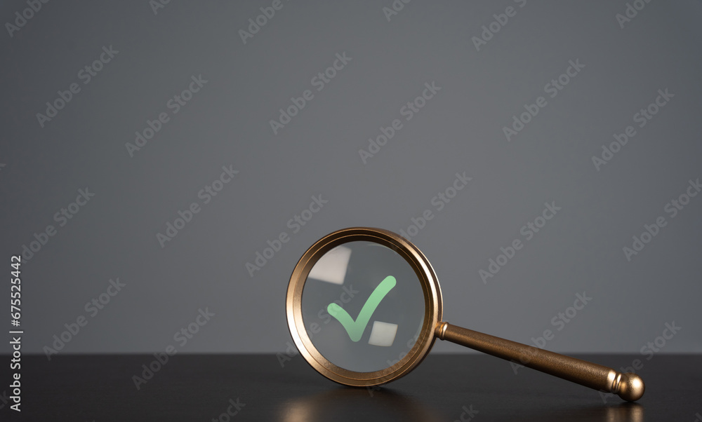 Magnifying glass and green check mark. Pass verification successfully ...