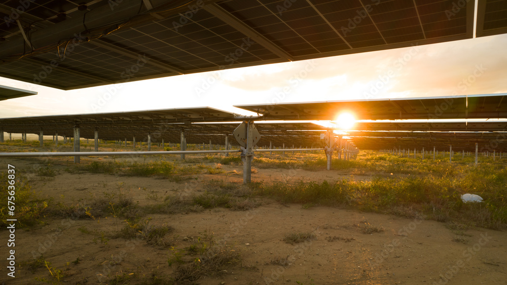 Utility scale solar farm or pv plant with bifacial modules and trackers ...