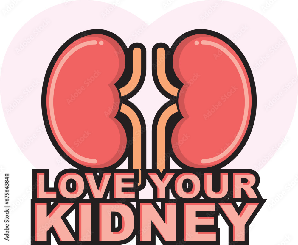 ANATOMICAL HUMAN KIDNEY DRAWING IN CARTOON VECTOR ILLUSTRATION Stock ...