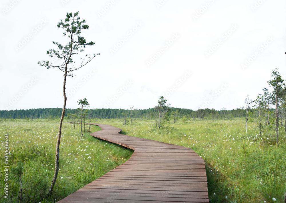 landscape design with wooden bridge in the park with no sky background ...