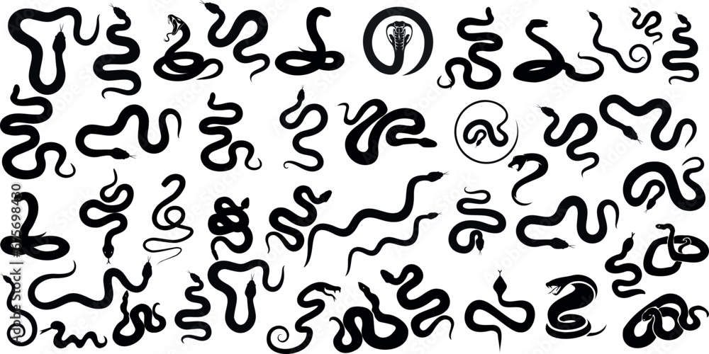 Snake Silhouette Vector Illustration, Features various snake shapes ...