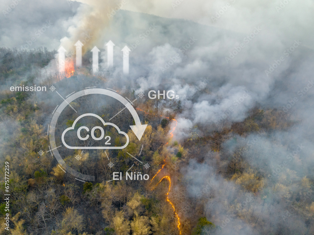Climate change, Wildfires release carbon dioxide (CO2) emissions and ...