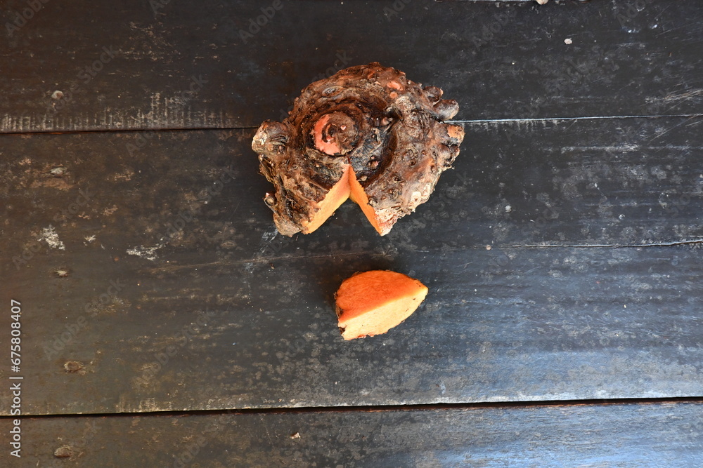 Elephant foot yam. It is a tropical tuber crop grown primarily in ...