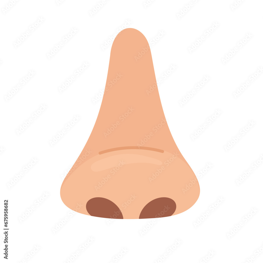 Nose body part isolated on white background. Human anatomy element in ...