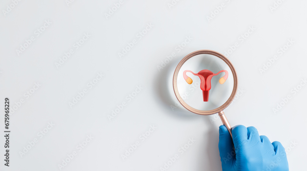 Foto de Doctor hand holding magnifying glass focus uterus reproductive ...