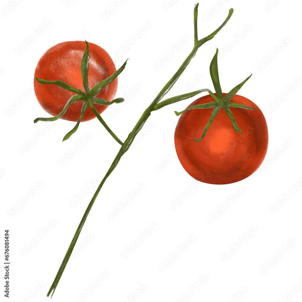Watercolor cherry tomato branch isolated on white background. Botanical ...