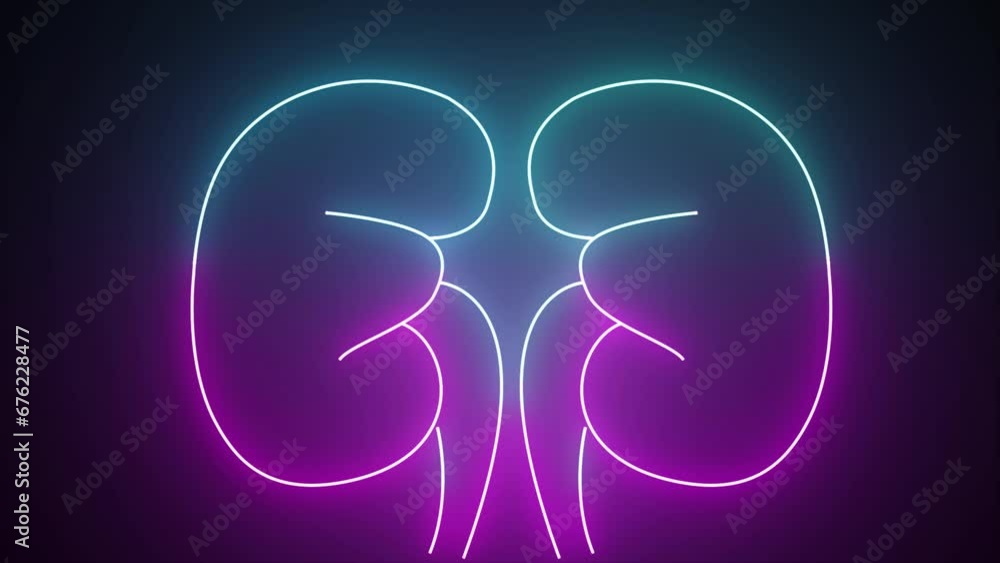 Glowing blue and purple neon line Human kidneys icon isolated on black ...