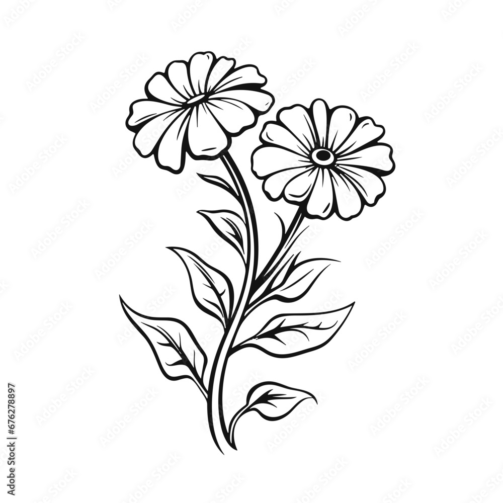 Line Drawing, Line art png, Line Art Prints, Spring Clipart, Line Art ...