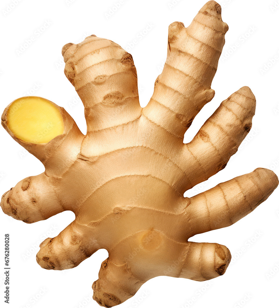 Ginger root transparent background PNG clipart Stock Illustration ...
