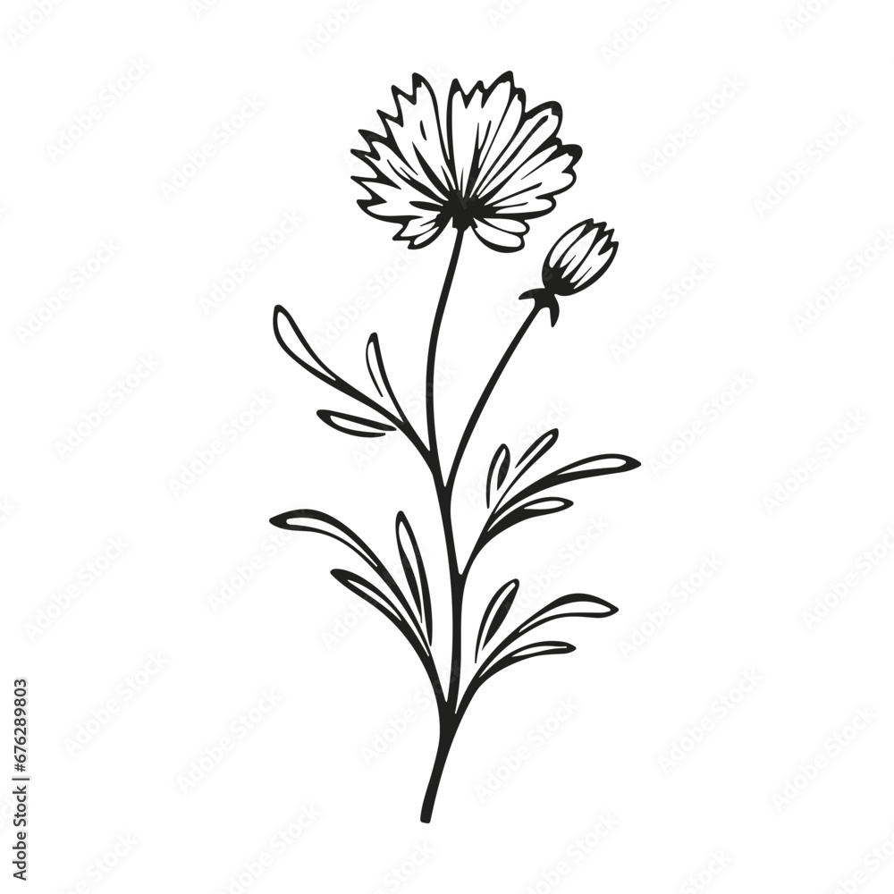 line drawing, line art png, line art prints, spring clipart, line art ...