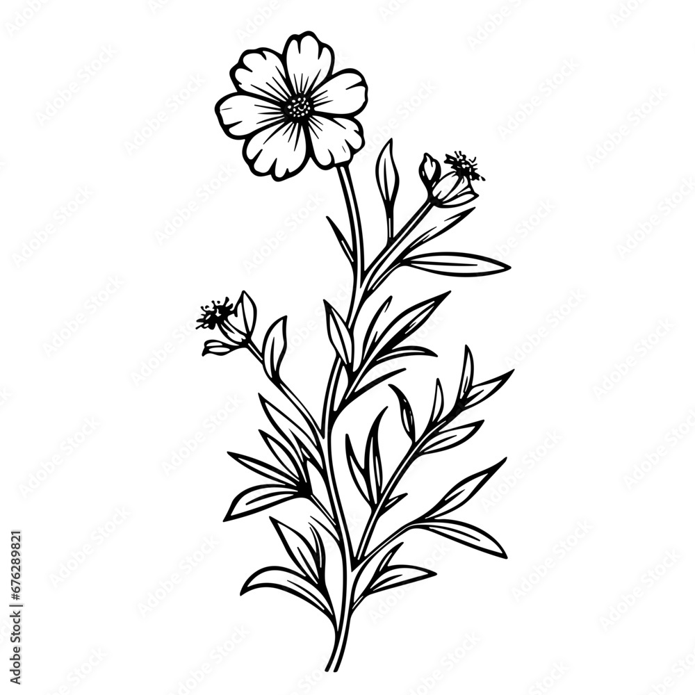 line drawing, line art png, line art prints, spring clipart, line art ...