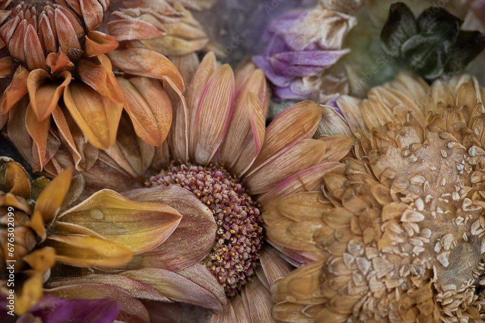 abstract art background of frozen summer flowers in ice Stock Photo ...