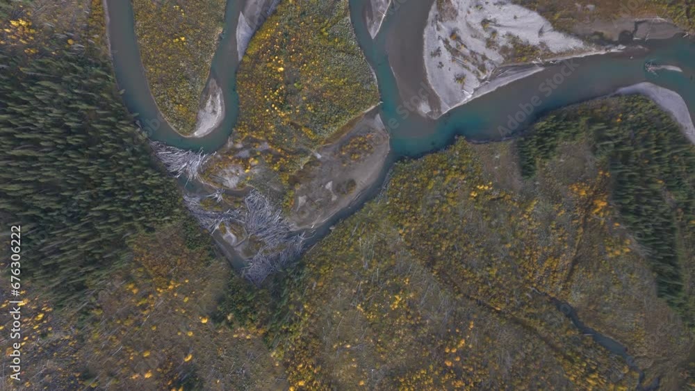 A slow meandering rich blue coloured river flows through a forest full ... A slow meandering rich blue coloured river flows through a forest full ...