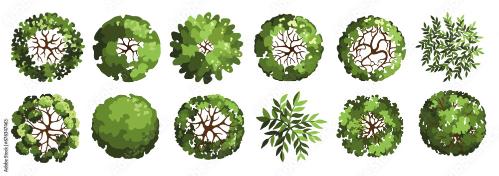 Tree for architectural floor plans. Entourage design. Various trees ...