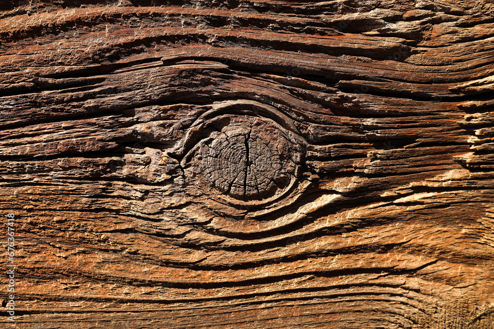 Wood texture. Close up detail macro photo with a lot of lines and ...