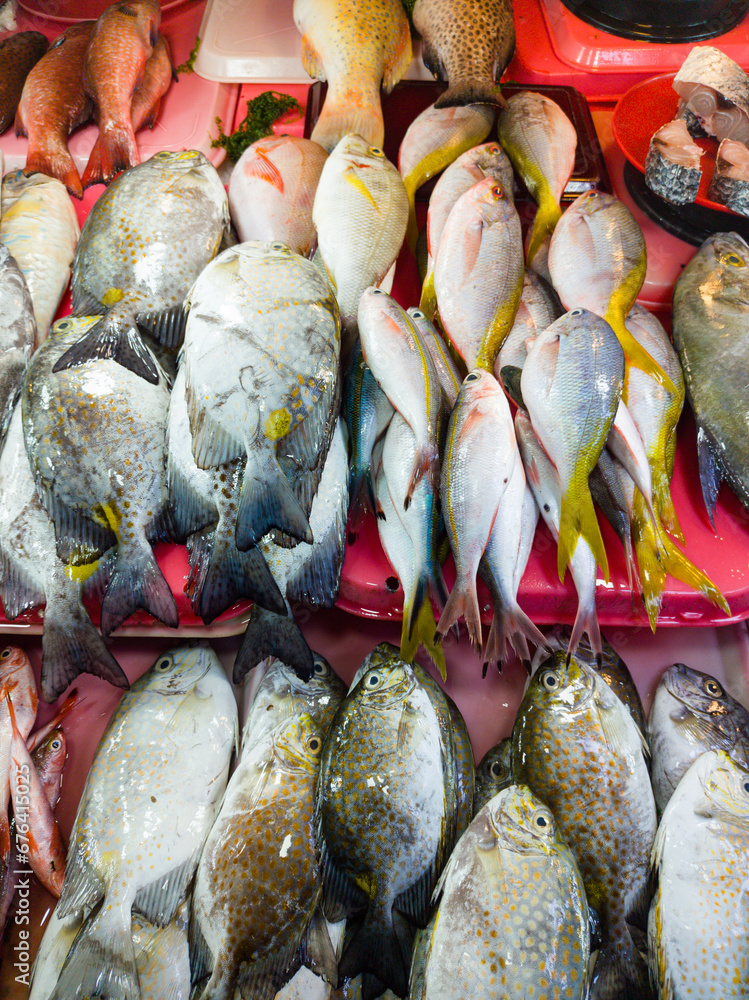 Different kinds of fish on tropical fish market. Iligan, Philippines ...