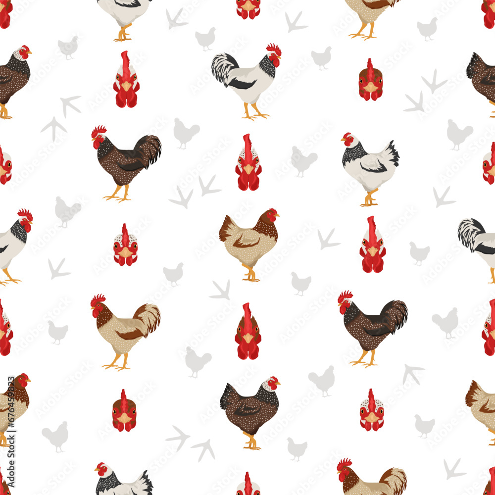Sussex Chicken breeds seamless pattern. Poultry and farm animals ...