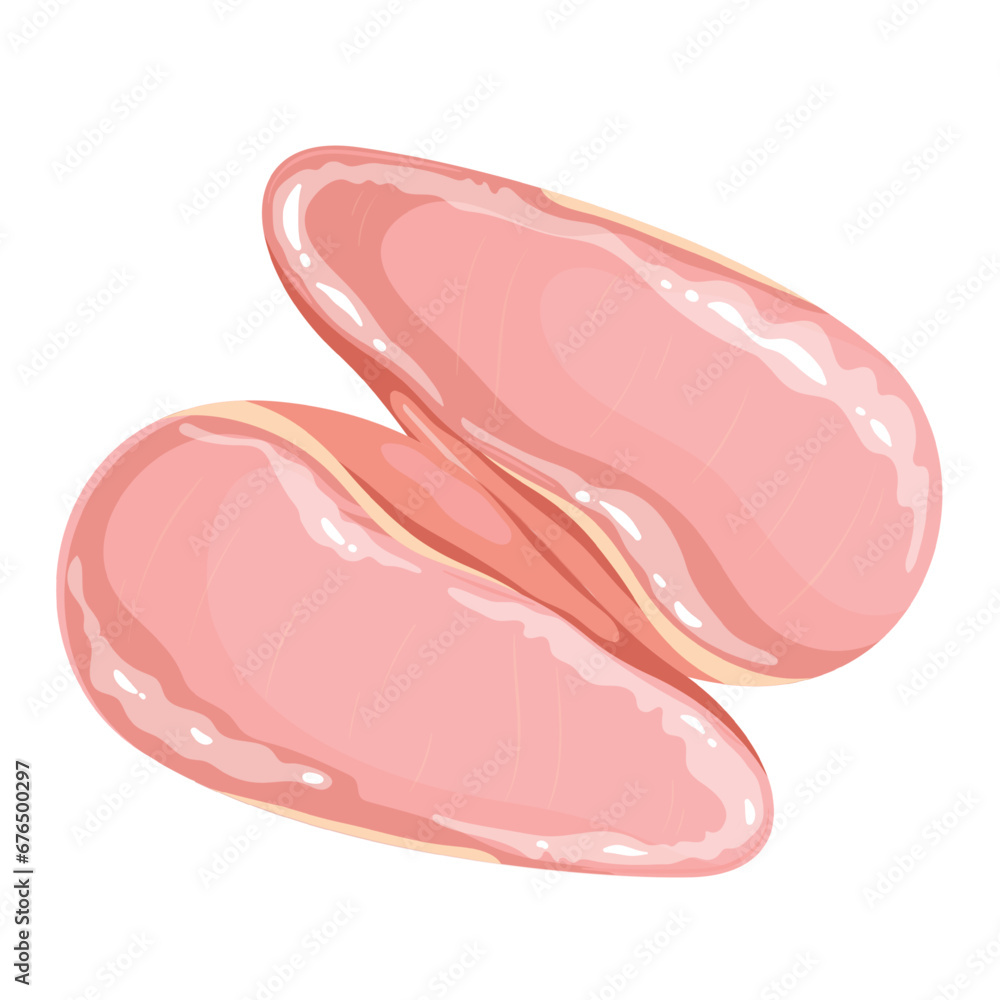 Chicken breasts vector illustration. Cartoon isolated raw pieces of ...