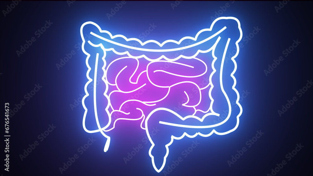 Neon anatomy of the human digestive system. Anatomy of the human ...