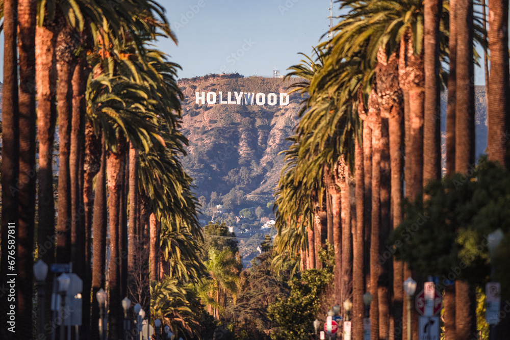 Hollywood sign in Los Angeles CA with palm trees during the summer ...