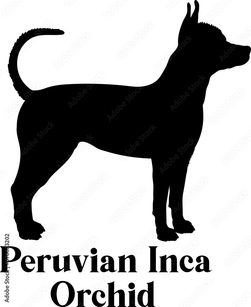 Peruvian Inca Orchid Dog silhouette dog breeds logo dog monogram logo ...