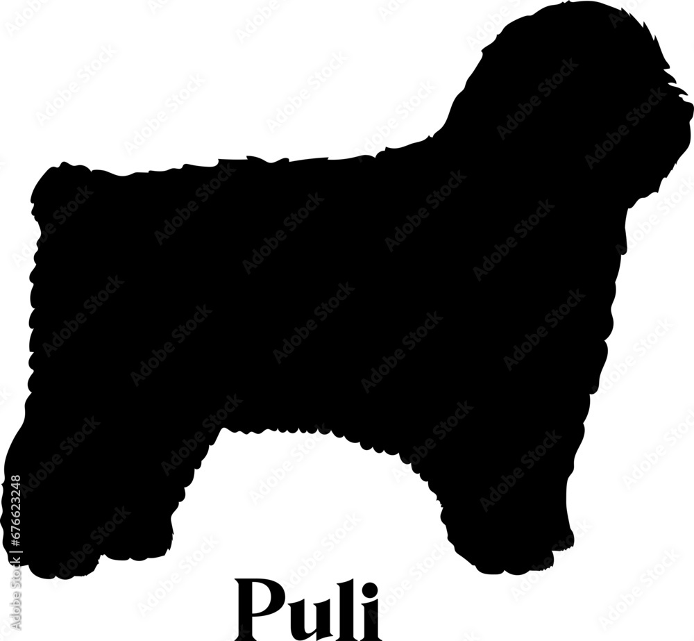 Puli Dog silhouette dog breeds logo dog monogram logo dog face vector ...