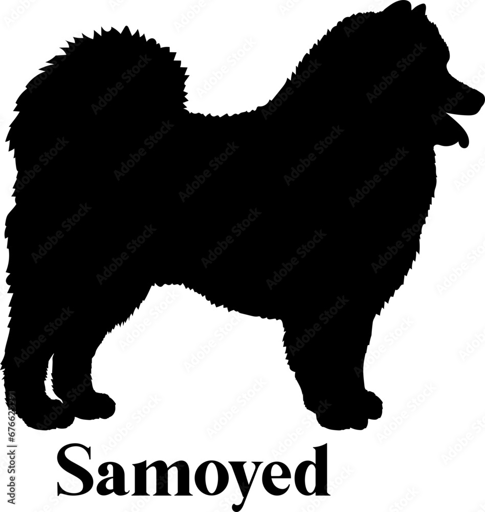 Samoyed Dog silhouette dog breeds logo dog monogram logo dog face ...