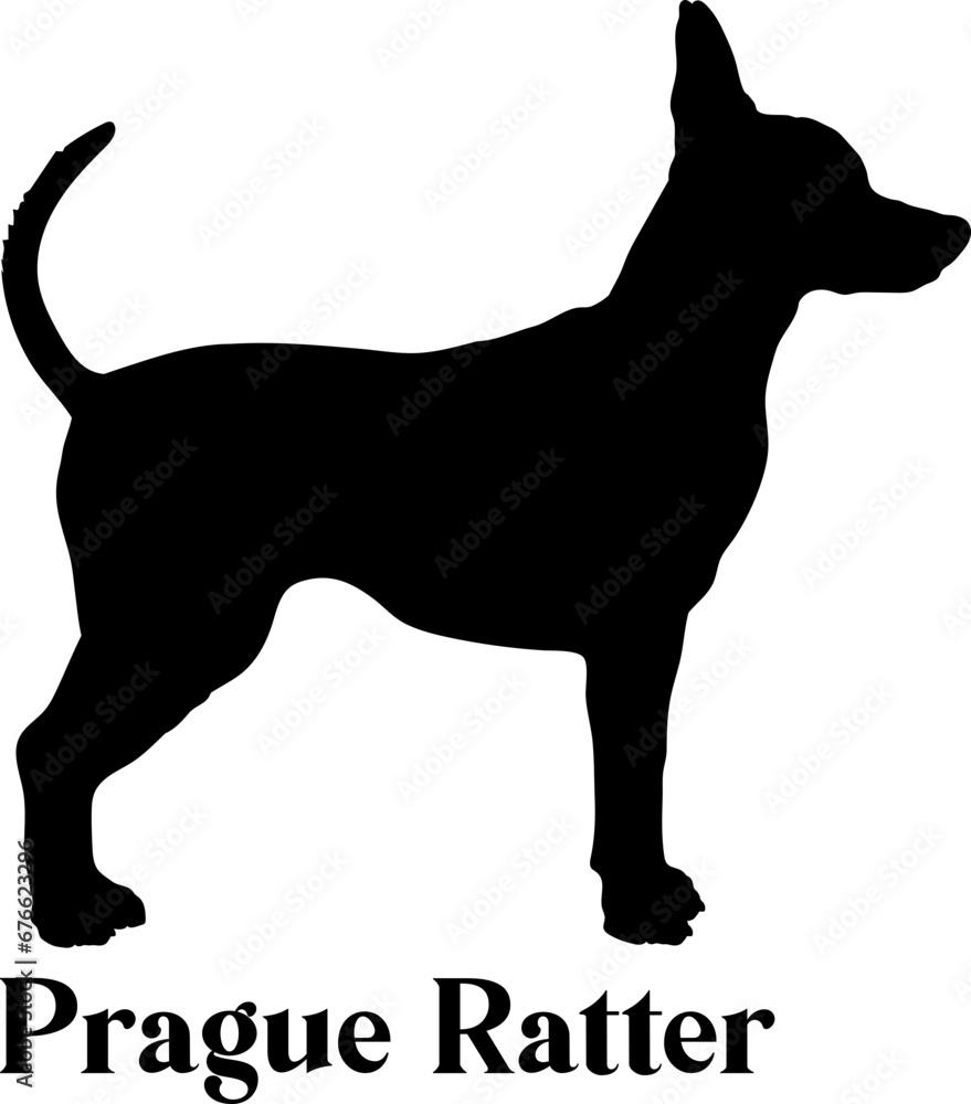 Prague Ratter. Dog silhouette dog breeds logo dog monogram logo dog ...