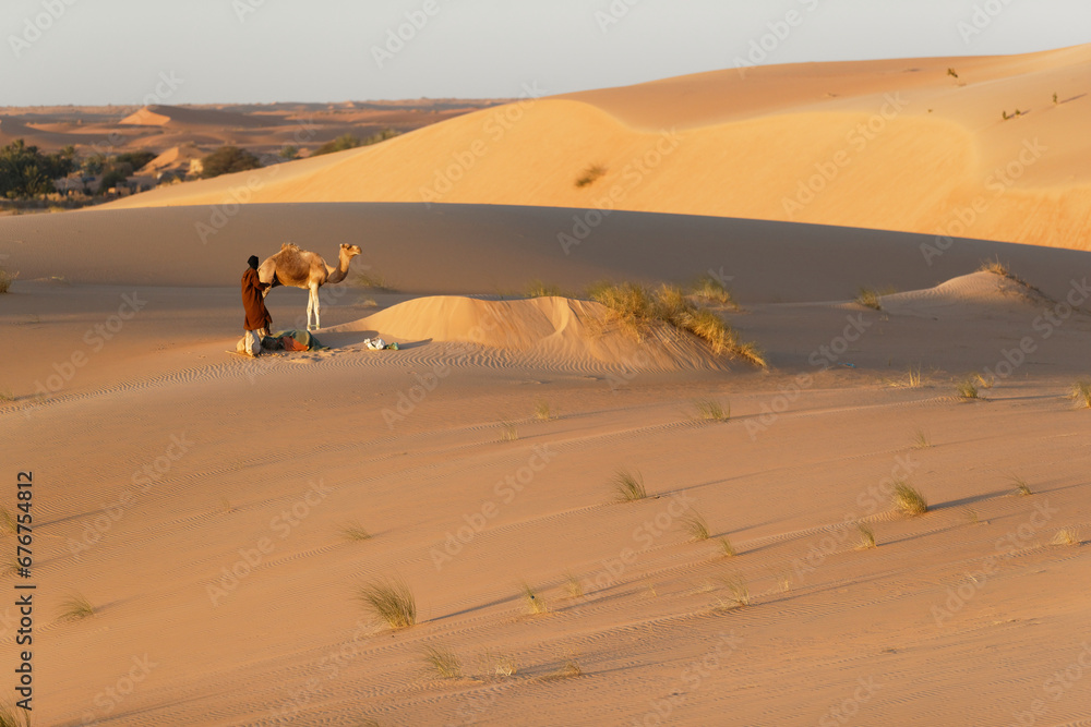 Beduin and his camel setting up a bivouac for the night in the ...