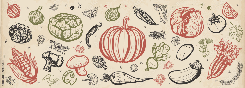 Vegetables. Old school tattoo collection. Cabbage, pumpkin, beets ...