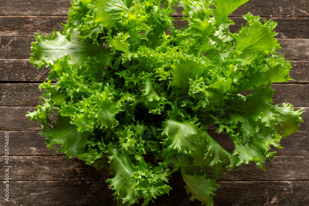 Curly endive (Cichorium endivia) also known as frisee. Fresh leafy ...