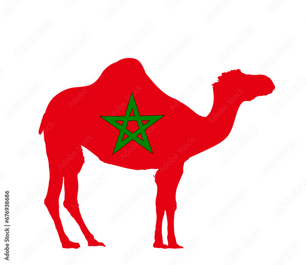 Vecteur Stock Morocco flag over dromedary camel animal vector ...